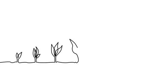 plant growing line art doodle draw proce... | Stock Video | Pond5