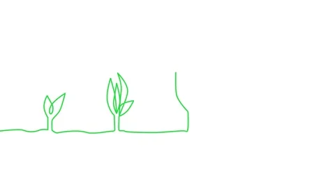 plant growing line art doodle draw proce... | Stock Video | Pond5