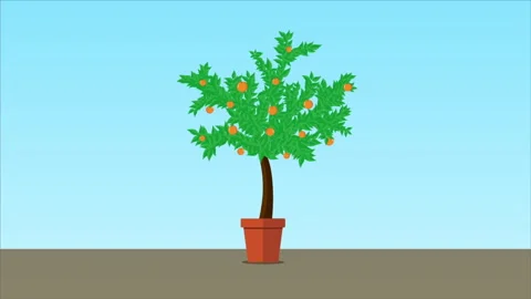 Plant An Orange Tree Animation - 4k Stoc... | Stock Video | Pond5