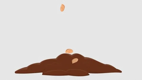 Plant seeds. Animation of sowing plant s... | Stock Video | Pond5