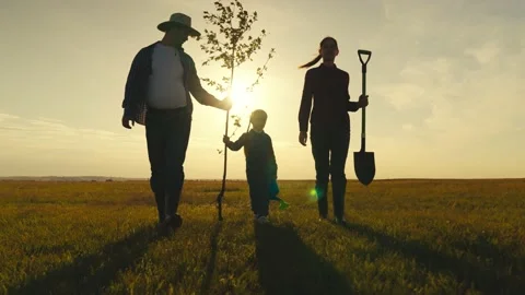 plant tree family sunset. Agriculture. d... | Stock Video | Pond5