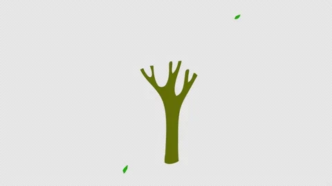 Seed Growing Tree Animation Stock Footage ~ Royalty Free Stock Videos ...