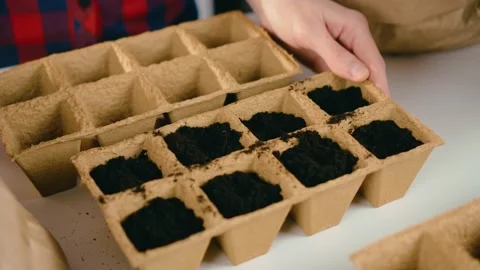 Planting seeds with work tool helping ha... | Stock Video | Pond5