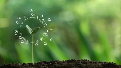 Planting a tree and Oxygen for save the ... | Stock Video | Pond5