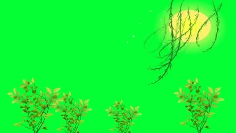 plants and sun background and 2d animati... | Stock Video | Pond5