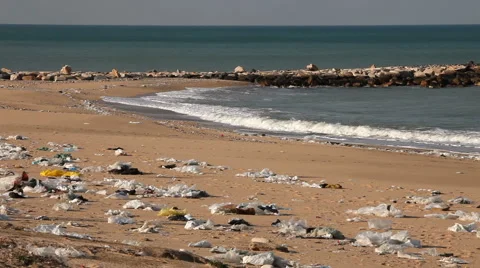 Polluted Beach Stock Video Footage | Royalty Free Polluted Beach Videos ...