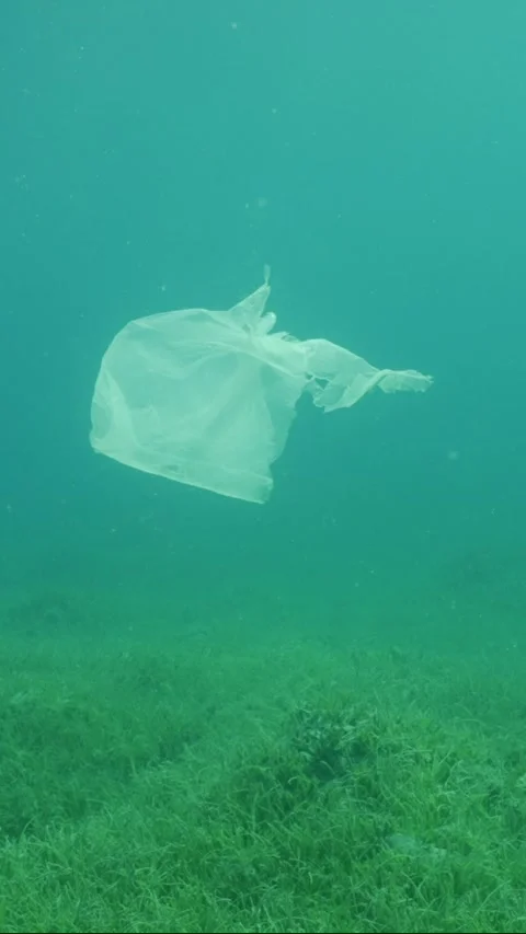 Plastic bag floating underwater on blue ... | Stock Video | Pond5