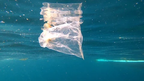 A plastic bag floats under the surface o... | Stock Video | Pond5