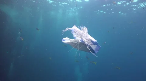 Plastic Bag Illustration Stock Videos – Royalty-Free HD & 4K Videos | Pond5