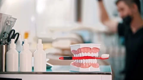 Plastic model of jaws with a toothbrush ... | Stock Video | Pond5