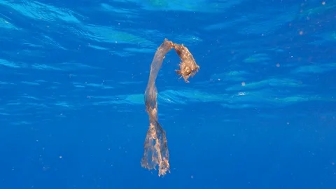 Plastic pollution. A piece of plastic ba... | Stock Video | Pond5