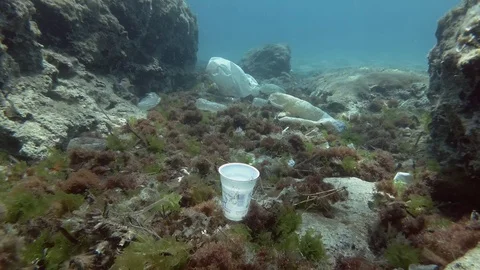 Plastic pollution, plastic cup slowly si... | Stock Video | Pond5