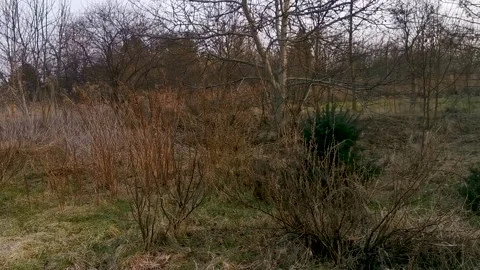 Trash Laying Around Stock Videos – Royalty-Free HD & 4K Videos | Pond5