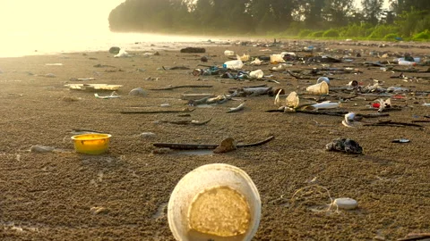 Plastic pollution of sea shore. Polluted... | Stock Video | Pond5