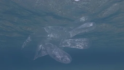 Plastic pollution, Transparent plastic b... | Stock Video | Pond5