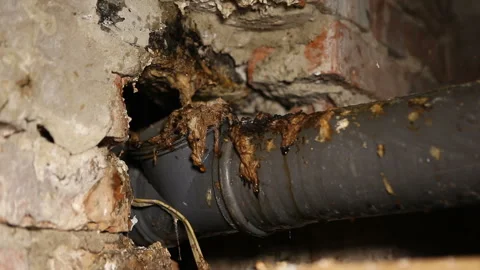 Pipe Burst Stock Video Footage | Royalty Free Pipe Burst Videos | Pond5