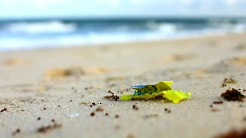Plastic Snacks Wrapper Discarded on Wind... | Stock Video | Pond5