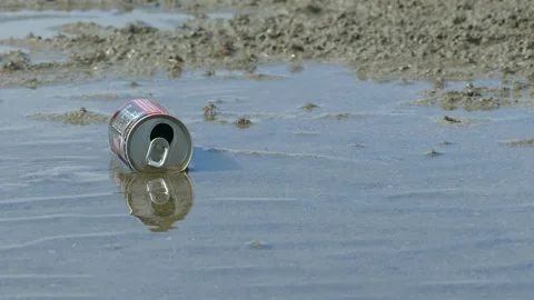 Plastic waste garbage Point into trash b... | Stock Video | Pond5