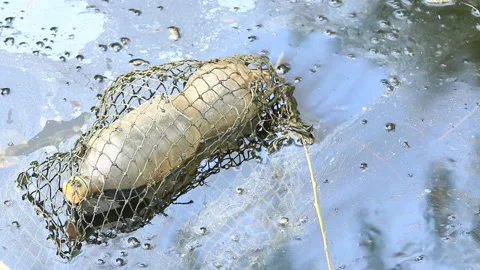 Plastic water bottle in the net float o... | Stock Video | Pond5