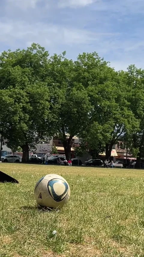 Heroein Fun Stock Videos – Royalty-Free HD & 4K Videos