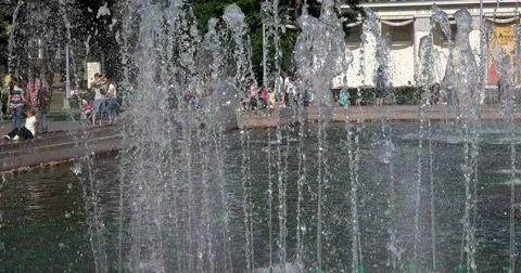 The Revier Stock Videos – Royalty-Free HD & 4K Videos