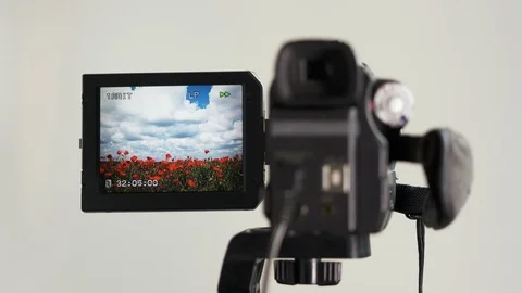 Poopies Movies Stock Videos – Royalty-Free HD & 4K Videos