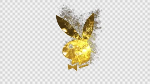 Playboy Channel Stock Videos – Royalty-Free HD & 4K Videos