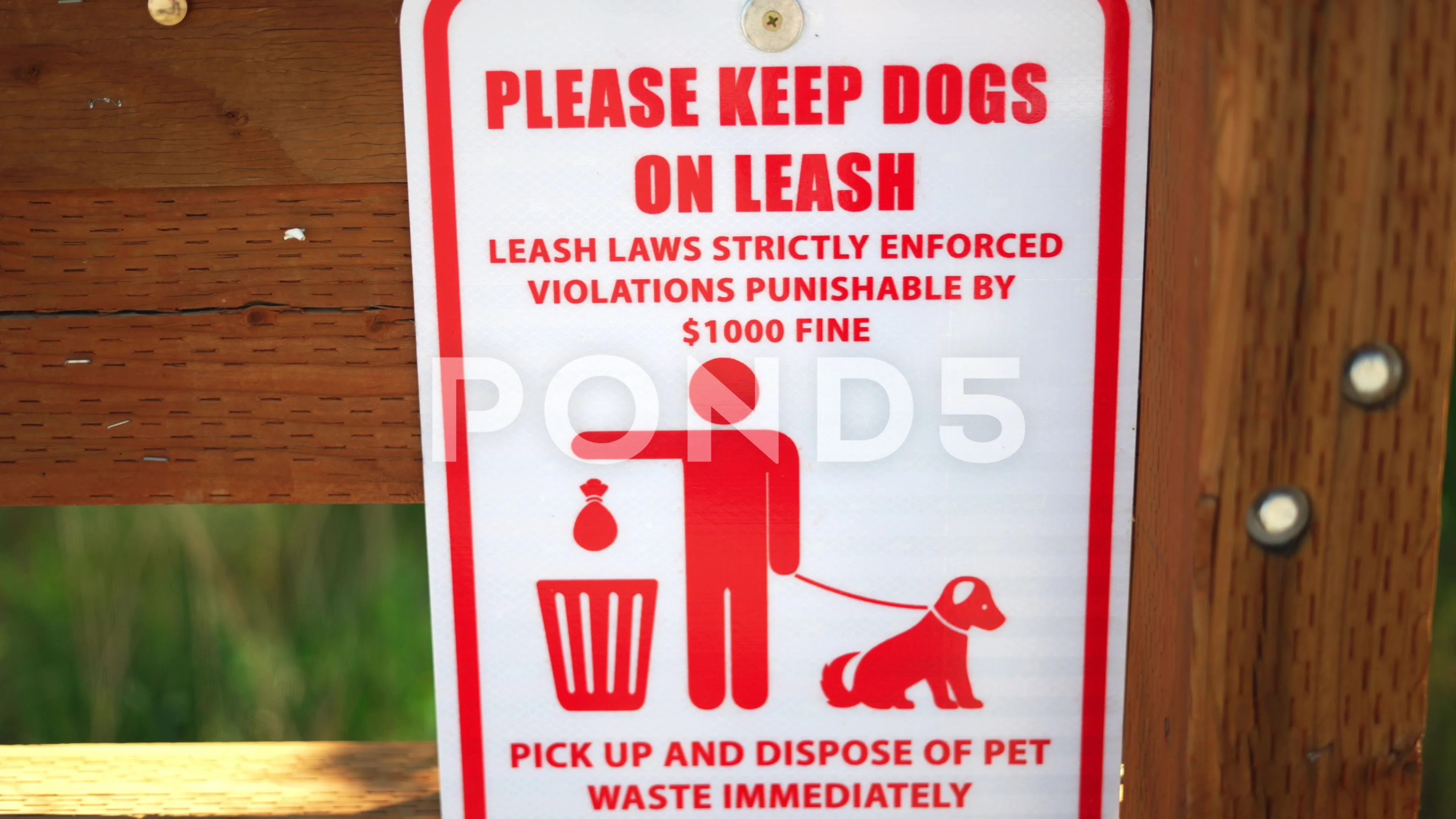 Leash Your Dog Signs Going Up In Forest Hill Park RVAHub, 51% OFF