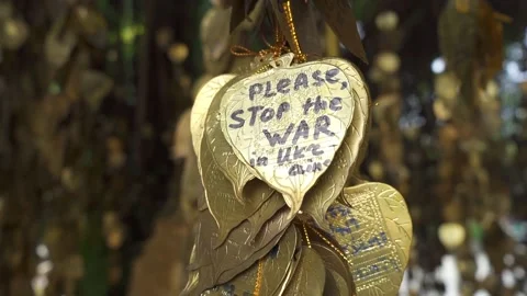 Please In Ukranian Stock Videos – Royalty-Free HD & 4K Videos | Pond5