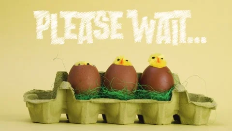 Egg Please Stock Videos – Royalty-Free HD & 4K Videos | Pond5