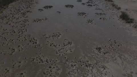 North Myrtle Beach Stock Video Footage | Royalty Free North Myrtle ...