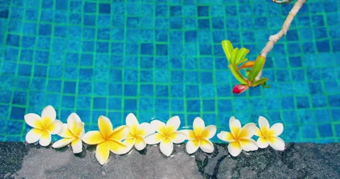 Float Swimming Stock Footage ~ Royalty Free Stock Videos | Pond5