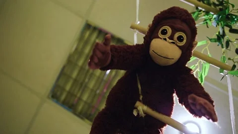 A plush monkey toy hangs on a swing near... | Stock Video | Pond5