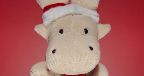 Plush Toy Poses in front of the Camera L... | Stock Video | Pond5