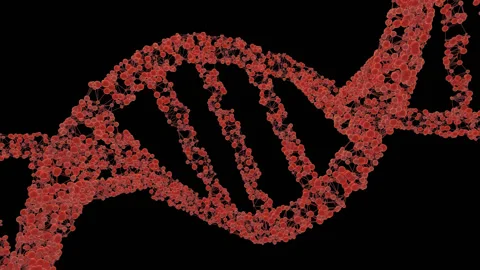 PNG Alpha.Abstract DNA cells animation. | Stock Video | Pond5