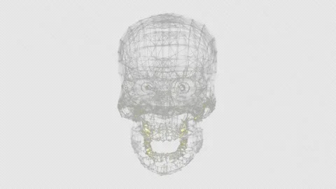 PNG Alpha.Skeleton skull Plexus appearin... | Stock Video | Pond5