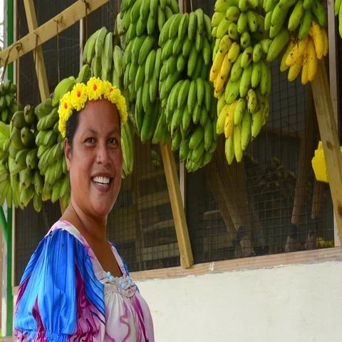 Pohnpei Micronesia beautiful local woman... | Stock Video | Pond5