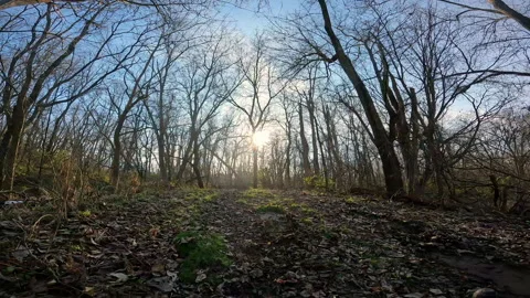 Point of view out of the back of a movin... | Stock Video | Pond5