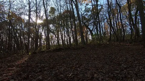 Point of view on the rear of an all terr... | Stock Video | Pond5