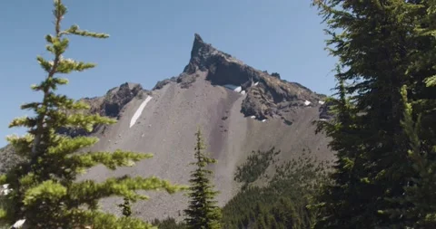 Girl Rimmingdog Stock Videos – Royalty-Free HD & 4K Videos | Pond5