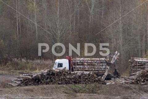 Pointing device downloads the timber carrier . ~ Premium Photo #86055284
