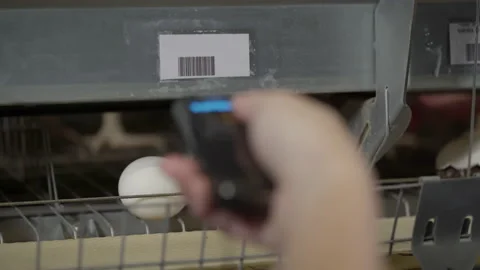 Pointing the laser scanner on the barcod... | Stock Video | Pond5