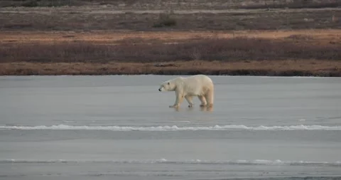 Lake In Autmn Stock Videos – Royalty-Free HD & 4K Videos