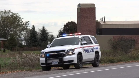 Police at crime scene digging and search... | Stock Video | Pond5