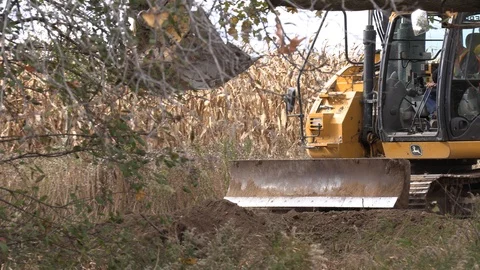 Police at crime scene digging and search... | Stock Video | Pond5