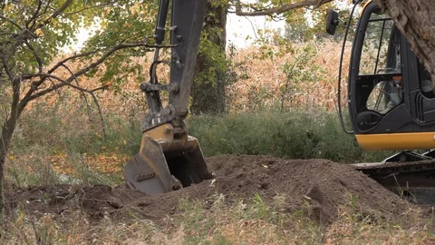 Police Detectives Stock Videos – Royalty-Free HD & 4K Videos | Pond5