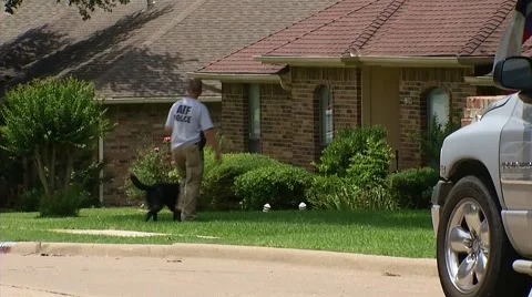 Police Dog K9 unit ATF attack on Dallas ... | Stock Video | Pond5