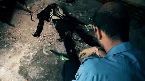 A Police Officer Examines the Human Skel... | Stock Video | Pond5