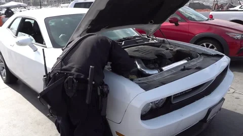 Police Officer inspection inside of hood... | Stock Video | Pond5