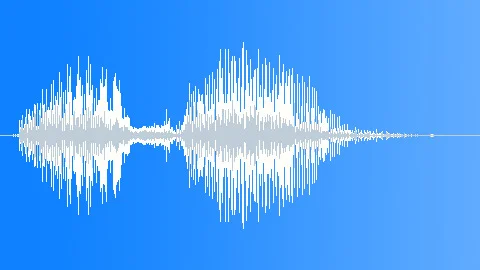 Police Yelling Sound Effects ~ Police Yelling Sounds | Pond5